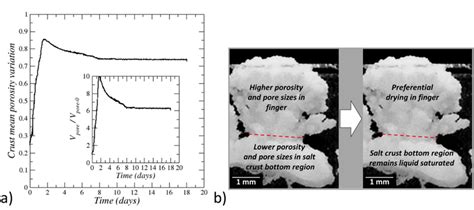 Crust Porosity Variation A Salt Crust Average Porosity Variation Download Scientific Diagram