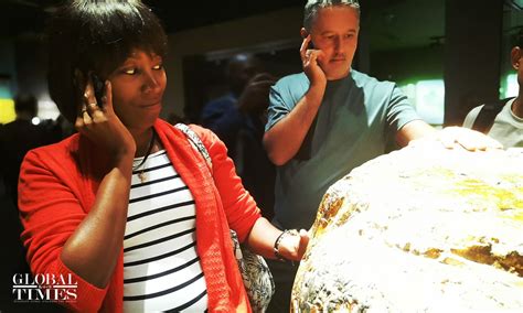 Foreign Journalists Appreciate Cultural Relics At Sanxingdui Museum Global Times