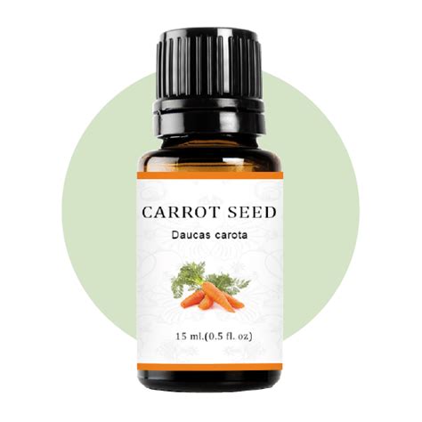 Carrot Seed Essential Oil Jam Wellness