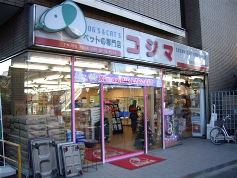 東京都杉並区のペットショップペットの専門店コジマ 高井戸店