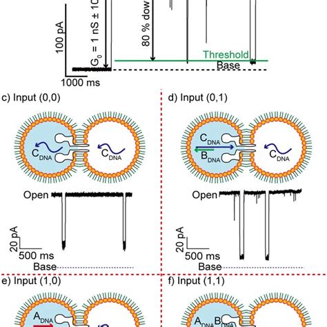 DNA Based Implementation Of The NAND Gate Download Scientific Diagram