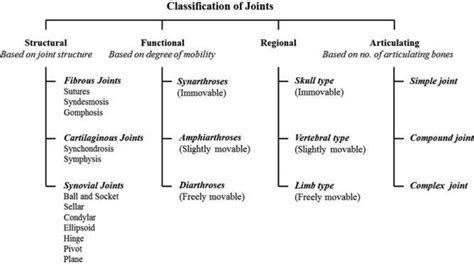 Classification Of Joint Pptx