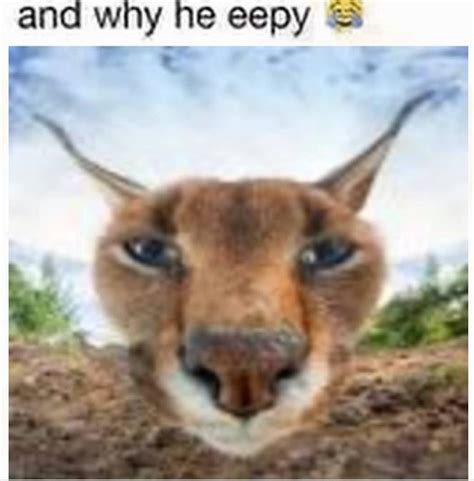 Eepy Know Your Meme