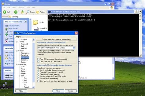 Run Any Gnulinux App On Windows Without Any Virtualization