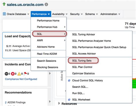 Managing Sql Tuning Set A Well Hidden Secrete Björn Bolltoft Oracle