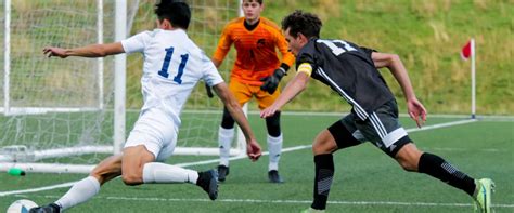 Bellevue College Athletics • Home Of The Bulldogs