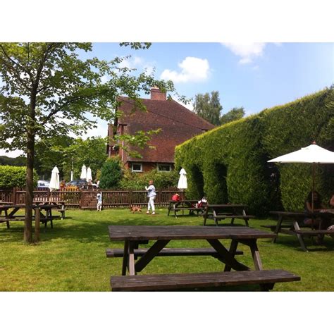 Liphook Travel Guide: Best of Liphook, England Travel 2024 | Expedia.co.uk