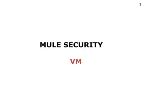 Mule Security Pptx