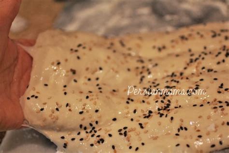 Barbari نون بربری