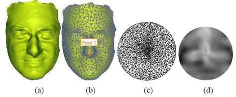 3d face recognition intechopen