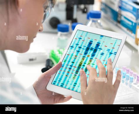 Female Scientist Examining DNA Sequence Results On Digital Tablet In Laboratory Stock Photo Alamy