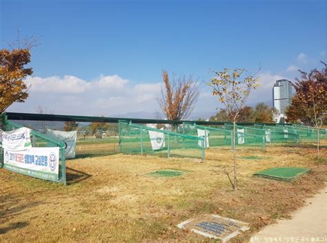 양평파크골프장 경기도 양평군 가볼만한곳 관광지랭킹