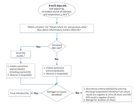 Landmark Febrile Neonate Febrile Infant Guideline From The Aap Journalfeed