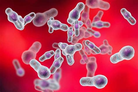 Recently Discovered Bioactive Compounds Can Kill Drug Resistant Bacteria The European Times News