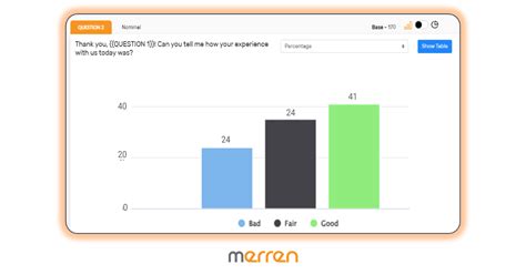 Merren Creates Informative Customer Feedback Reports