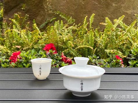 泡白茶盖碗和紫砂壶的区别真的这么大吗实际对比后有答案了 知乎