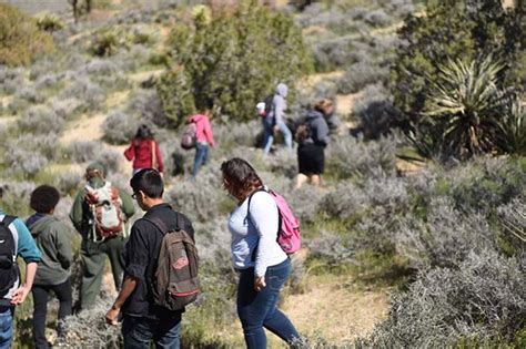Grade 6 Our Desert Ecosystem Joshua Tree Residential Education