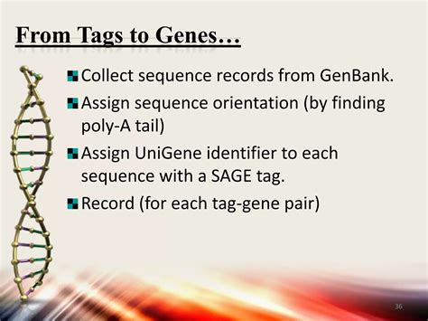 Sage Serial Analysis Of Gene Expression Pptx