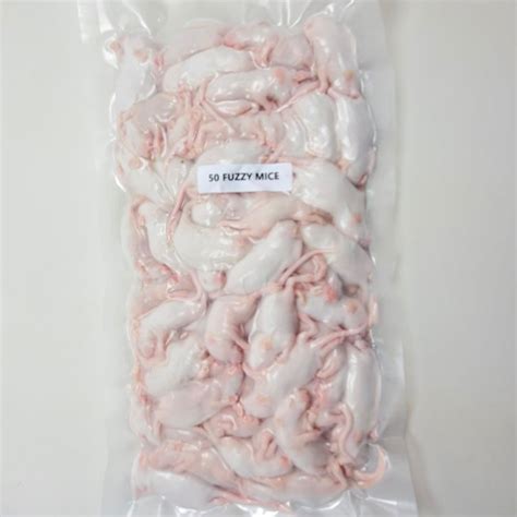 Frozen Fuzzy Mice Rodent King Canada