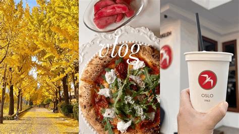 Vlog 여름끝자락에서 가을끝자락까지 먹방만하는일상 일본직구추천 던킨두바이도넛 프렌치토스트만들기 푸글렌서울 화덕피자만들기 서촌나들이 단풍구경끝 Youtube