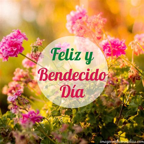 Bendecido Día 🙌 Frases E Imágenes Imágenes Buenos Días
