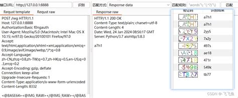 基于实战渗透中用到的burpsuite插件 csdn博客