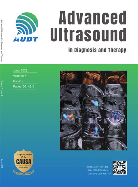 Pdf Advances In Intelligent Segmentation And 3d4d Reconstruction Of
