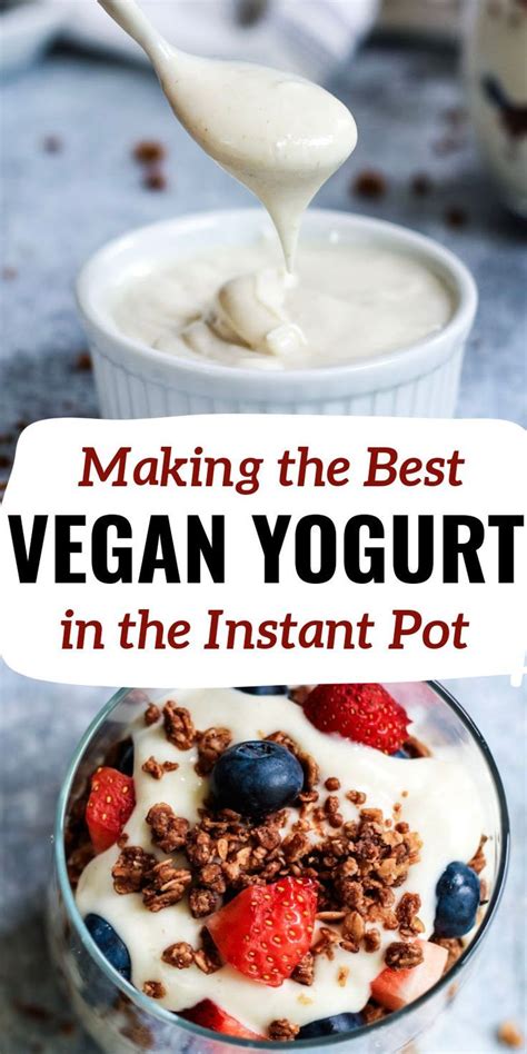 Making The Best Vegan Yogurt In The Instant Pot Vegan Yogurt Recipe