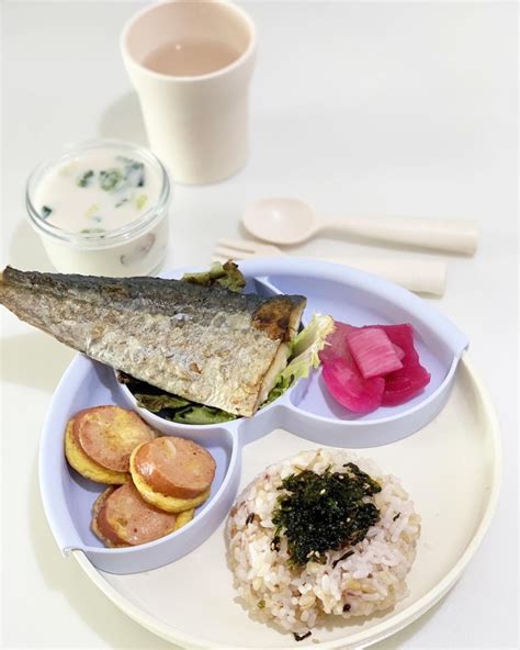 유아식 식단 38개월 세돌 아기 마켓컬리 추천인 Bulwalk 아기 반찬 추천템 레시피 공유 네이버 블로그