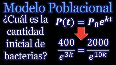 Crecimiento Proporcional De La Población Bacteriana En Un Cultivo