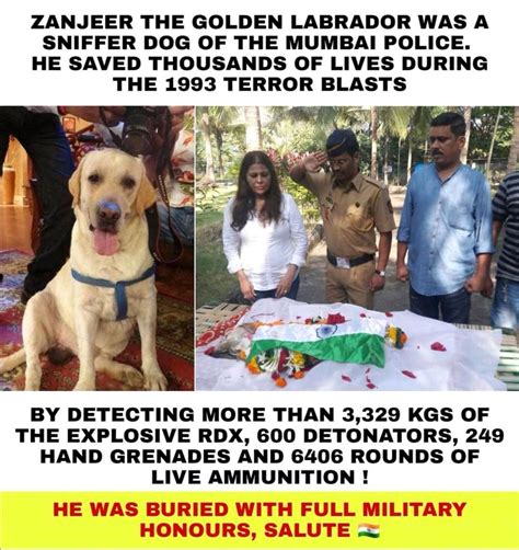 dr saumya ranjan bisoyi posted on linkedin