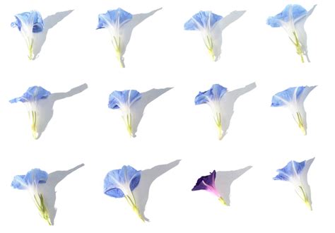 Exploring Gos New Loop Semantics By Duc Hoang Manh Medium