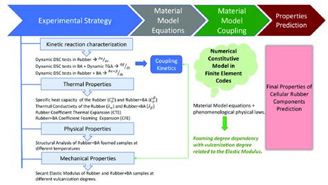 Schematic Diagram Depicting The Different Steps Of The Experimental Download Scientific Diagram