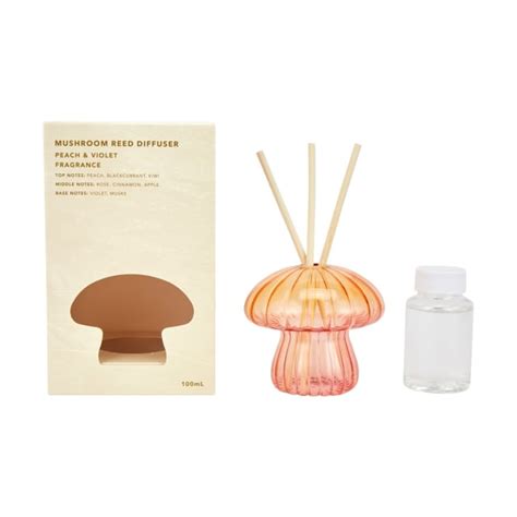 Mushroom Reed Diffuser 100ml Kmart Nz