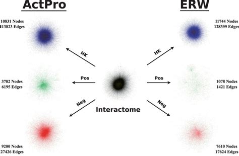 Decomposition Of Global Interactome Into Brain Specific Network Using