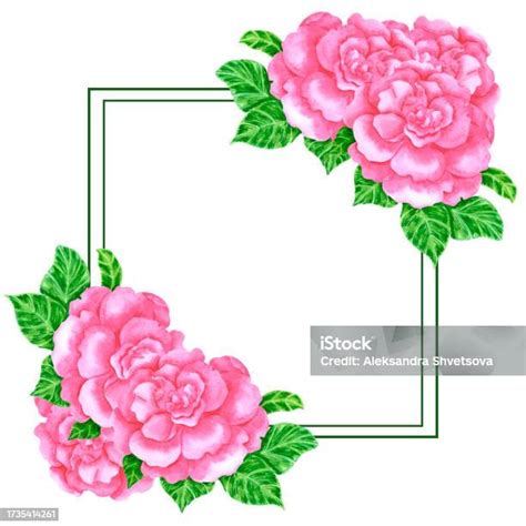 손으로 그린 수채화 분홍색 진달래 프레임 테두리가 흰색 배경에 분리되어 있다 초대장 엽서 포스터 장식 및 기타 인쇄물에 사용할 수 있습니다 철쭉에 대한 스톡 벡터 아트 및