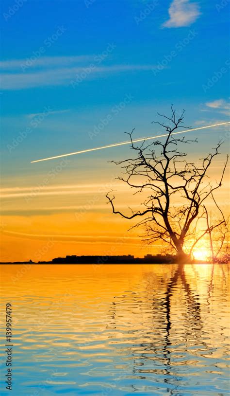 Autumn Trees On Water Background Stock Photo Adobe Stock