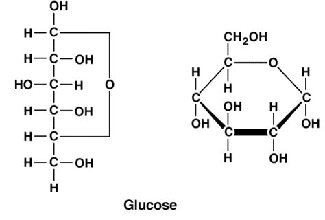 Monosaccharides Glucose And Fructose Structure And Examples With Videos