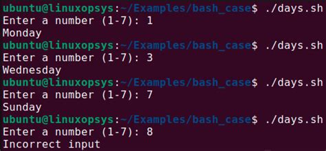 Case Statement In Bash Shell Scripting