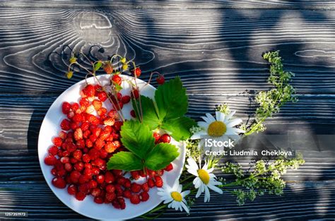 꽃이 있는 어두운 나무 테이블에 야생 딸기 테라스에서 화창한 날에 밝은 그림자 0명에 대한 스톡 사진 및 기타 이미지 0명 건강한 생활방식 건강한 식생활 Istock