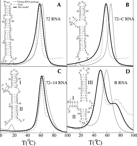 Predicting Rna Folding Thermodynamics With A Reduced Chain Representation Model
