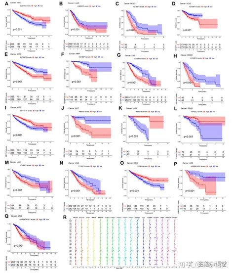 5分 Sci，比较简单的基因集泛癌分析 知乎