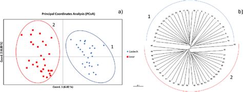 principal coordinates analysis pcoa a and upgma clustering of