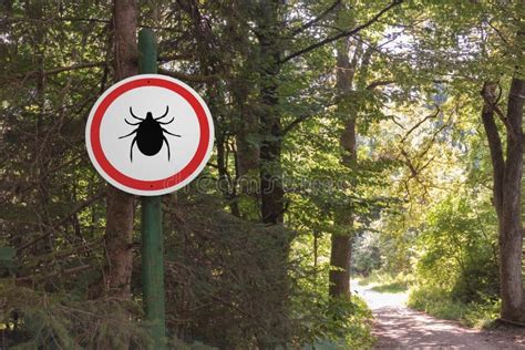 Tick Insect Warning Sign In Forest Stock Photo Image Of Tick Infested