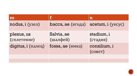 Имя существительное в латинском языке презентация онлайн