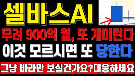 셀바스ai 226 무려 900억이나 개미털렸다 이것 모르면 또 당해요 셀바스에이아이 셀바스헬스케어 Ai Ai관련주 Ai대장주 셀바스그룹주 로봇주 로봇관련주 챗gpt
