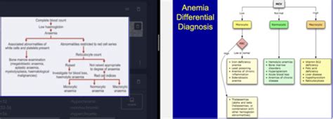 Hemeonc Flashcards Quizlet
