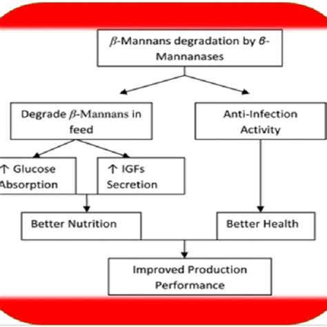 Production Parameters Of Broiler Chicken Trial Download Table
