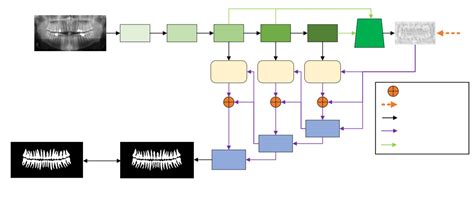 [논문 리뷰] Boundary Feature Fusion Network For Tooth Image Segmentation