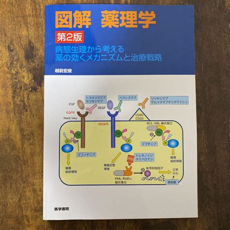 図解薬理学 病態生理から考える薬の効くメカニズムと治療戦略 By メルカリ